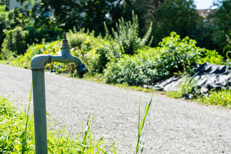 Water Pipe Tab in Front of Garden in Summer Stock Image - Image of pipe ...