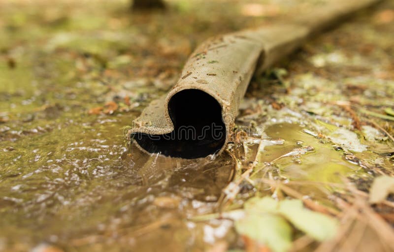 Water Pipe for Watering in the Park Stock Photo - Image of garden ...