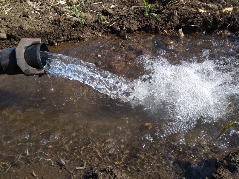 Water stock photo. Image of water, paipline, plant, watet - 134780972