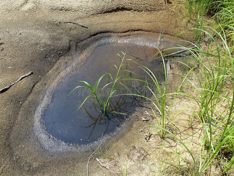 The water in the pit stock image. Image of bottom, dirt - 77062605