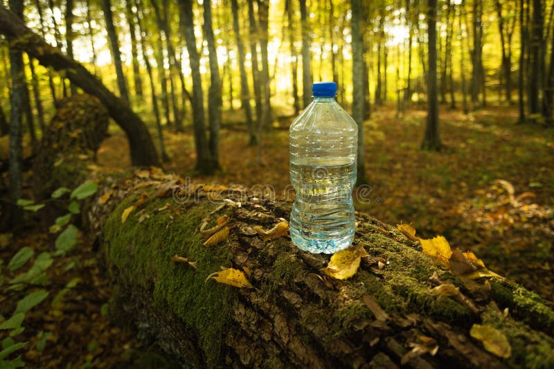 Water in a Plastic Bottle Standing on a Fallen Tree Stump Stock Image ...