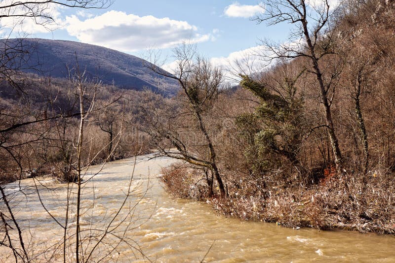 Water Plastic Pollution. People Dumping Garbage into River, Trowing ...