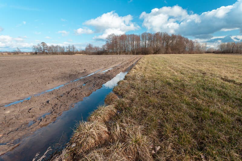 Water in a Plowed Field Next To a Meadow and Clouds on the Sky Stock ...