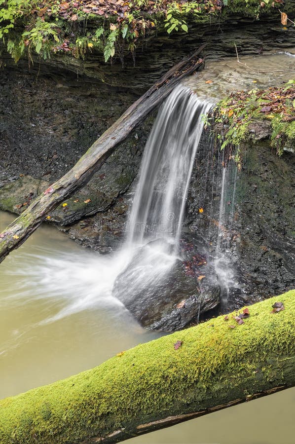 Forest Splash stock photo. Image of plunging, landscape - 103168140