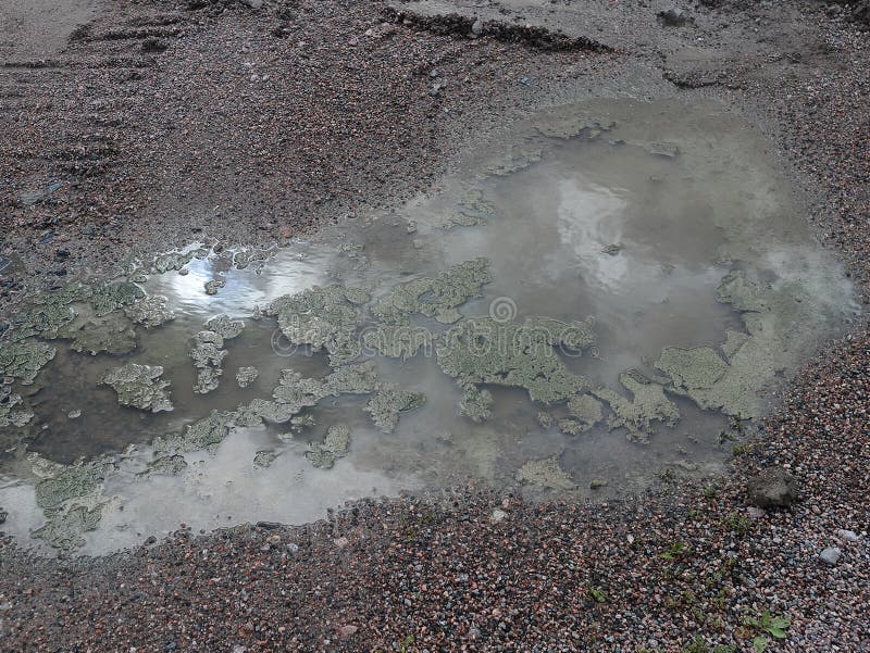 The Water is Polluted and Dirty in the Puddle Stock Image - Image of ...