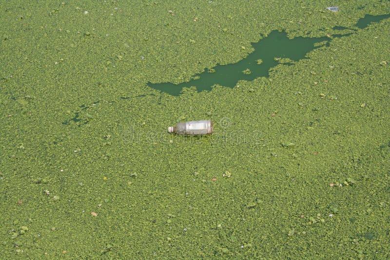 Water Pollution stock image. Image of environment, health - 13731887