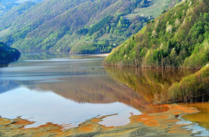 Water pollution stock photo. Image of nature, ecosystem - 9192866