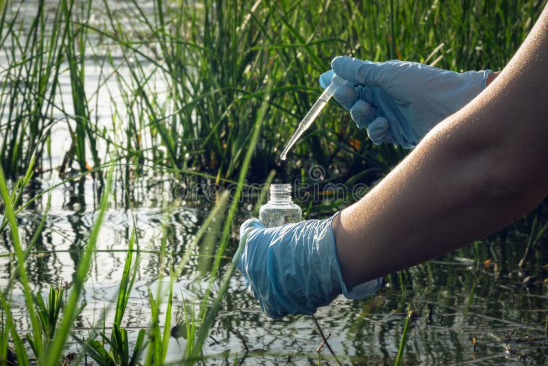 Water sampling stock photo. Image of lake, science, sample - 180707432