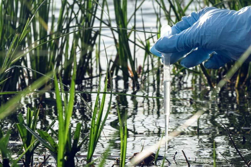 Water sampling stock photo. Image of dirty, flask, chemical - 188210012