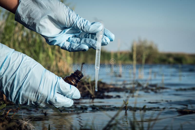 Water sampling stock photo. Image of lake, science, sample - 180707432