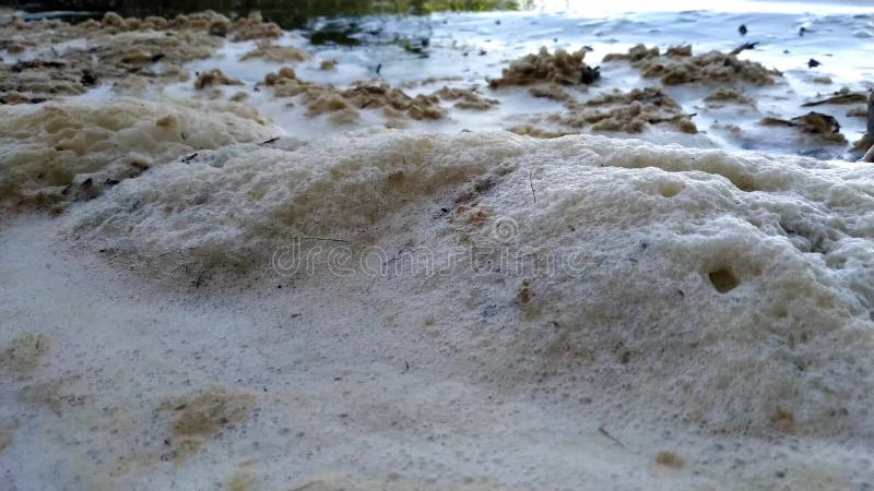 Water Pollution. Contamination of the Reservoirs of the Earth. Water is ...