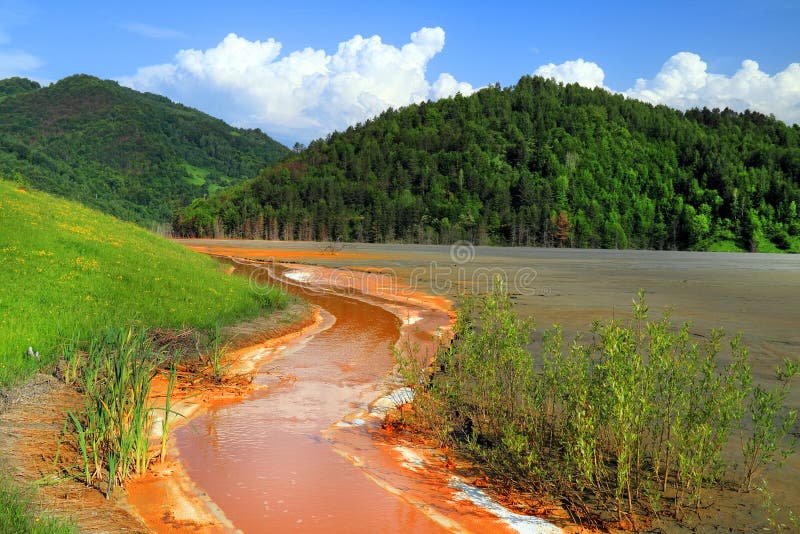 Water pollution stock photo. Image of nature, pollutant - 67978378