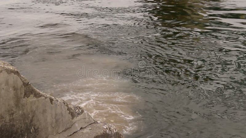 Water Pollution, Danube River, Steadicam Shot Stock Video - Video of ...