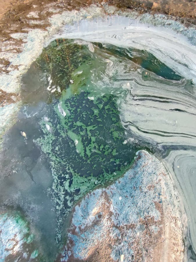 Water Pollution in a Forest Lake Stock Photo - Image of green ...