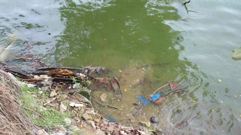 Water Pollution with Garbage on Water Stock Footage - Video of ...