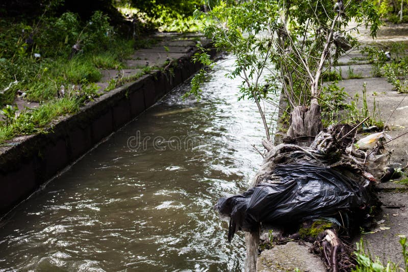 Water Pollution. Garbage Near the Urban Stream Stock Image - Image of ...