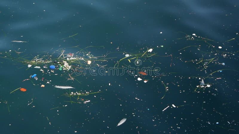 Water Pollution with Garbage on Water Stock Video - Video of unhygienic ...