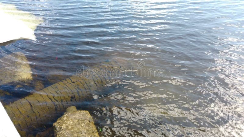 Water Pollution Industry Pipe Waste Dump Stock Footage - Video of ...