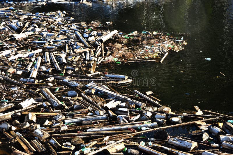 Environmental Disaster. Panorama of a Lake Full with Contaminate Stock ...