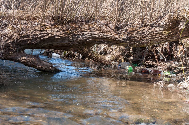 Plastic and Foam Garbage Floating on the Surface of the River Stock ...