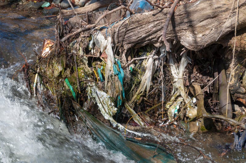 Plastic and Foam Garbage Floating on the Surface of the River Stock ...