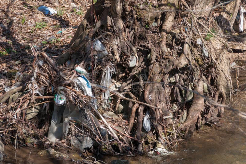 Plastic and Foam Garbage Floating on the Surface of the River Stock ...