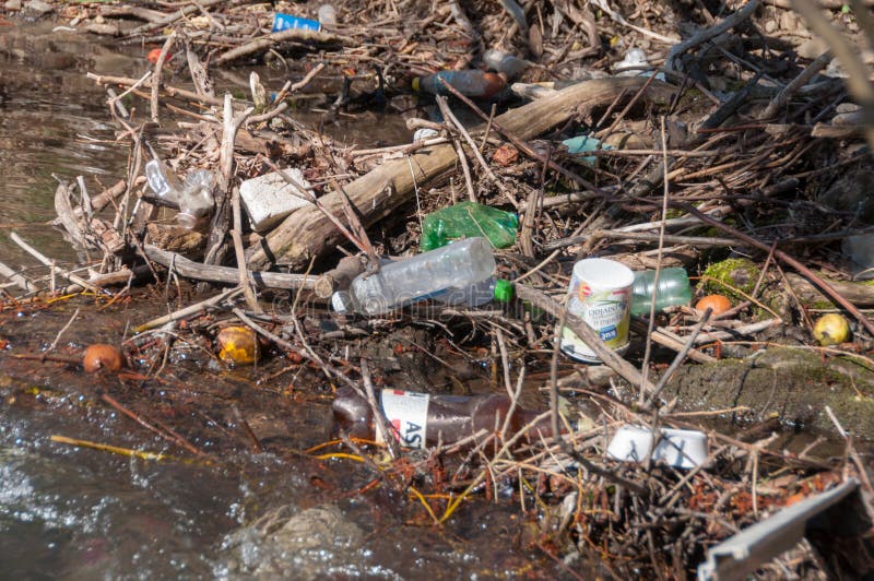 Foam Box Garbage on the Beach. Ecology, Environmental, Pollution and ...