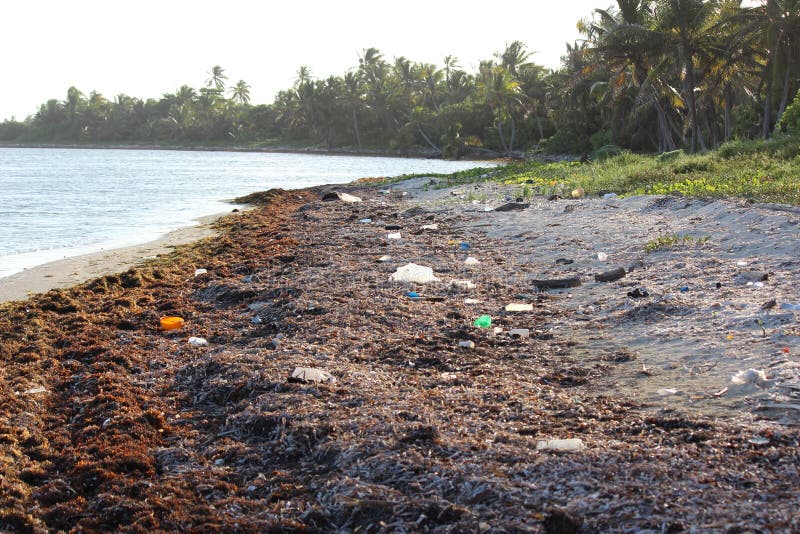 Water Pollution from Plastics and Waste Stock Photo - Image of plastic ...