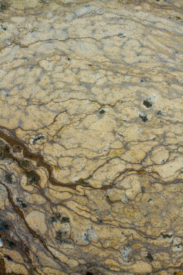 Water Pollution stock photo. Image of danger, pollution - 38187866