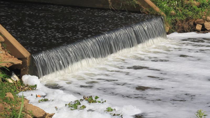 Water pollution in river stock video. Video of flowing - 39612091