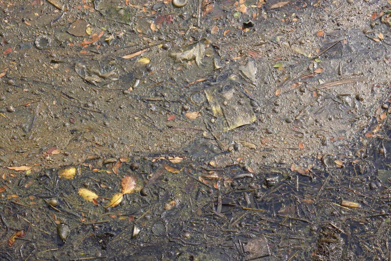 Water Pollution stock image. Image of recycling, rubbish - 95349393