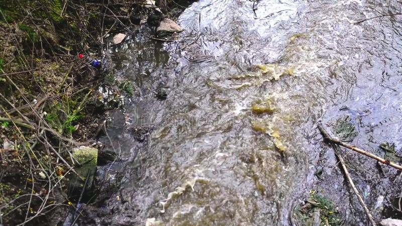 Water Pollution. Waste Water Flowing and Polluting Environment Stock ...