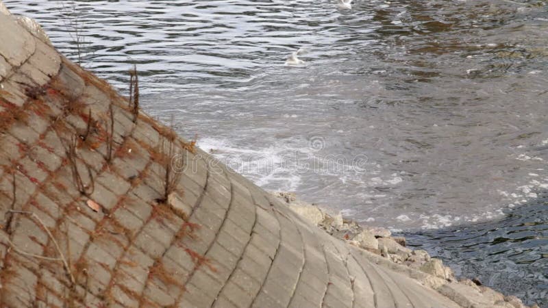 Water Pollution, Toxic Waste, River Contamination Stock Footage - Video ...