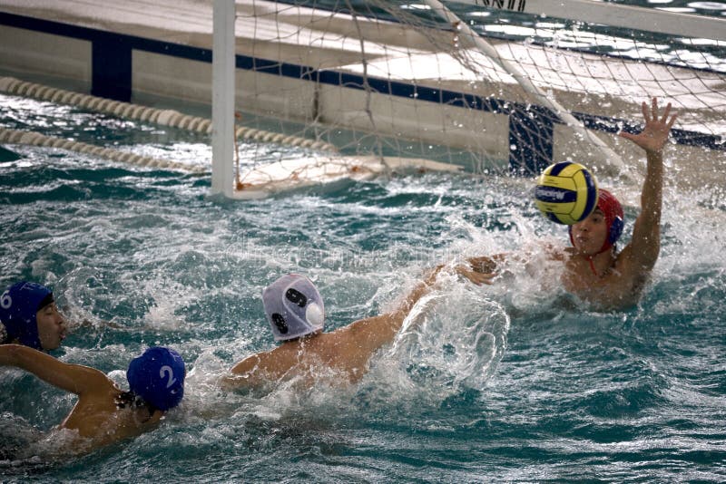 220 Mens Water Polo Team Stock Photos - Free & Royalty-Free Stock ...