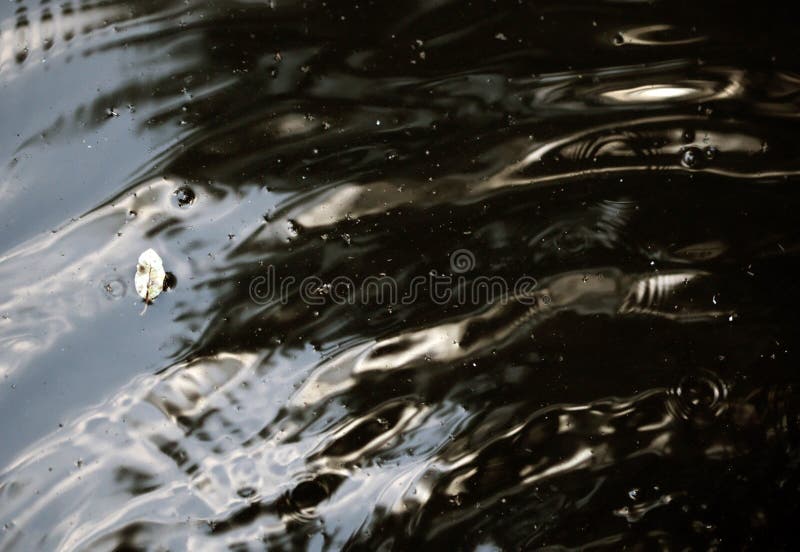 Water on a Pond Texture Wide Stock Image - Image of element, nature ...