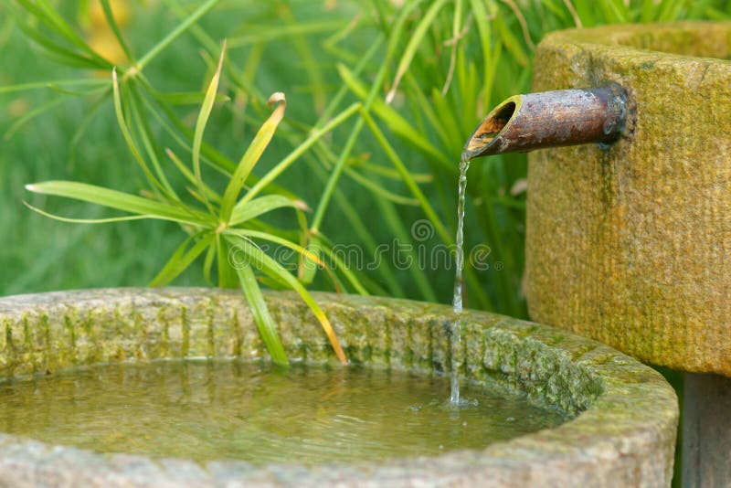 Water pond stock image. Image of pond, flow, garden, tank - 50178419
