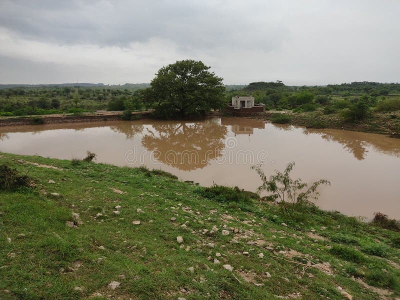 Water Pond and Tree in a Village Stock Photo - Image of reservoir ...
