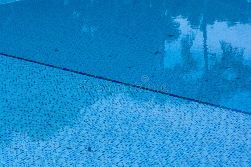 Water in Pool with Different Depth Levels and Leaves at Bottom ...