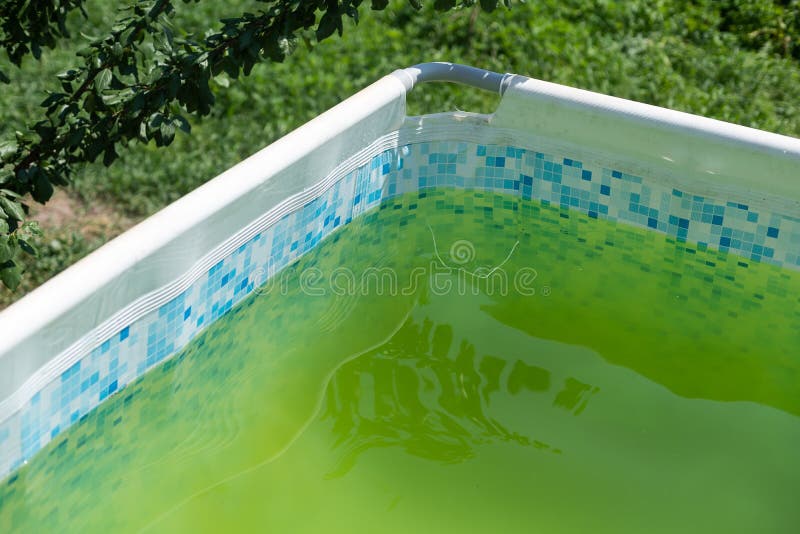 The Water in the Pool is Rotten. Stock Photo - Image of modern, garden ...