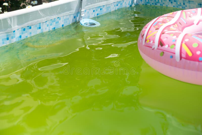 235 Rotten Deck Stock Photos - Free & Royalty-Free Stock Photos from ...