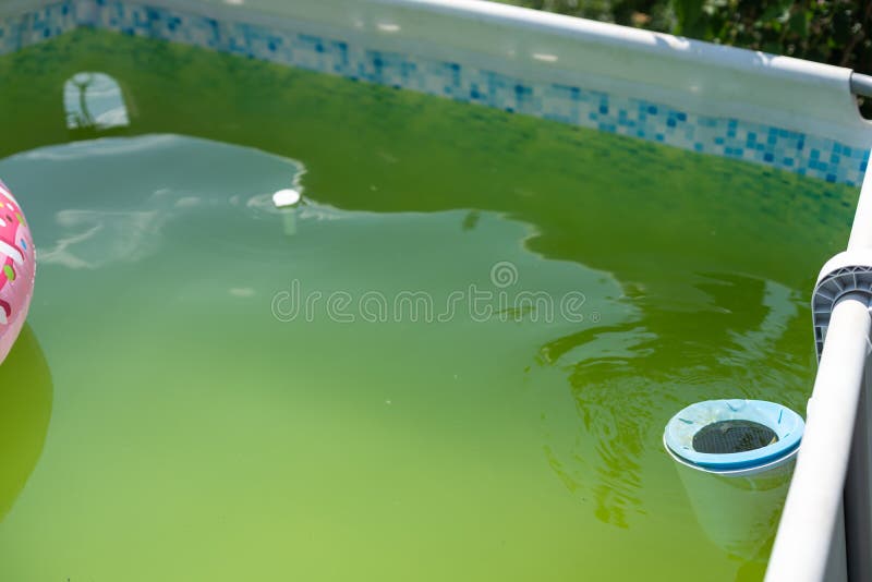 The Water in the Pool is Rotten. Stock Image - Image of texture ...
