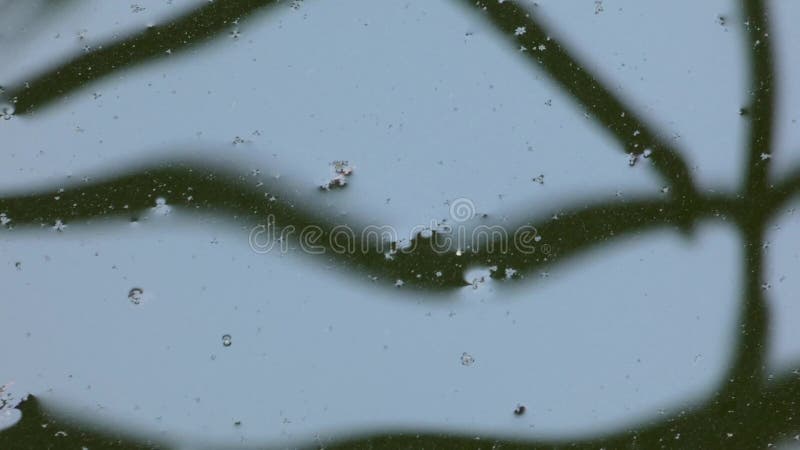 Water Pool with Small Waves and Dust Particles. Natural Background ...