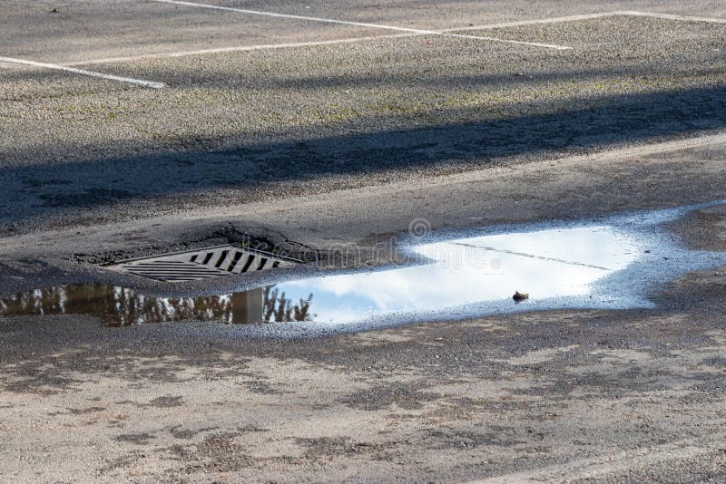Storm Drain Next To Pot Hole Puddle Stock Photo - Image of nature ...