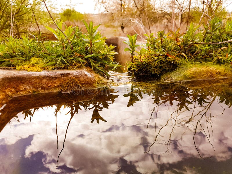 Water pound sky reflection stock image. Image of reflection - 90207553