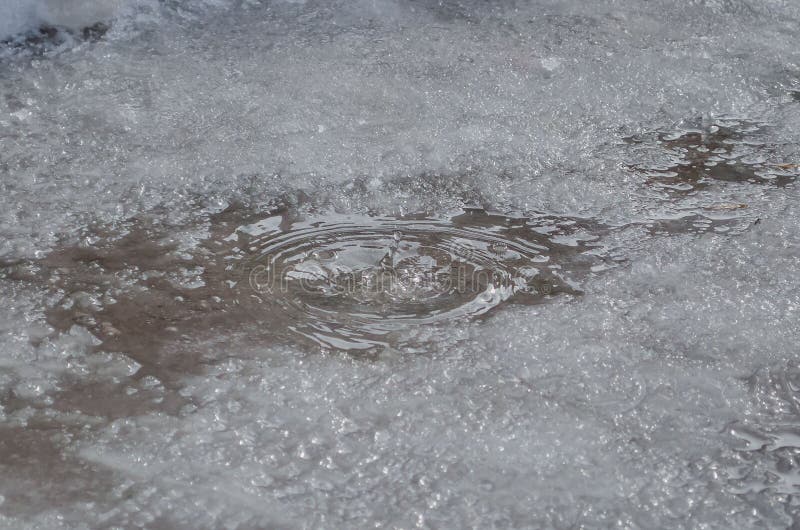 Water Poured into a Puddle on the Ice To Thaw Stock Image - Image of ...