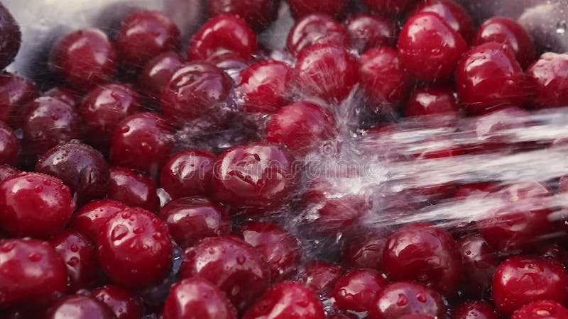 Ripe Cherries Washing with Water Stock Footage - Video of fresh ...