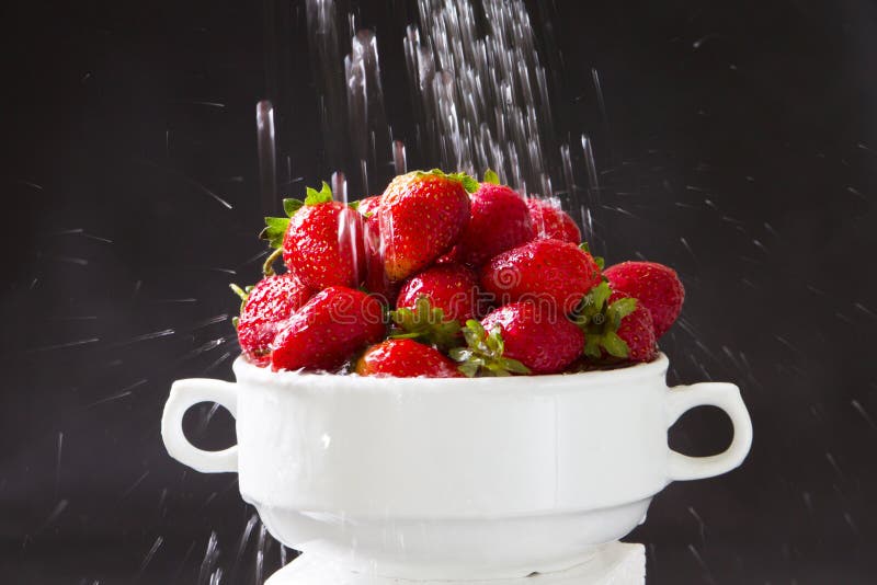 Washing berries stock photo. Image of berries, bright, fresh - 603636