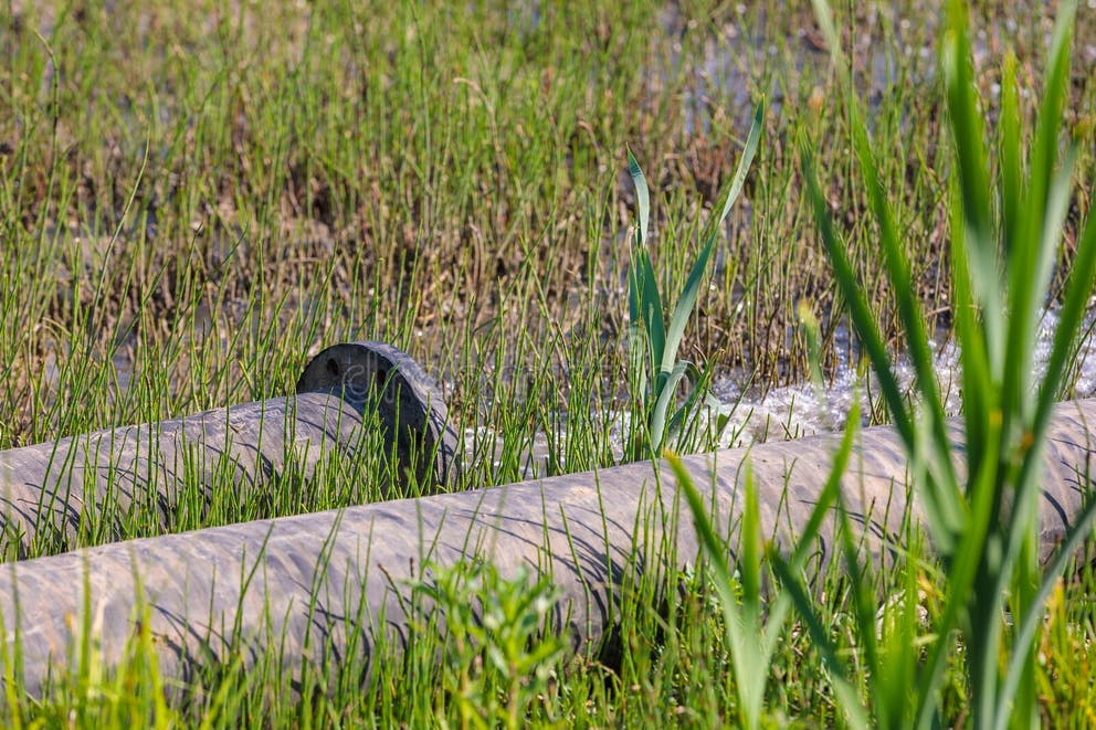 Water Pours from the Pipe on the Grass Stock Photo - Image of ...