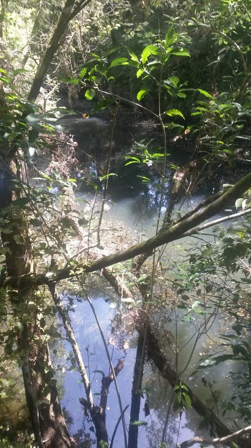 Water stock image. Image of shimmering, beautiful, light - 174084493