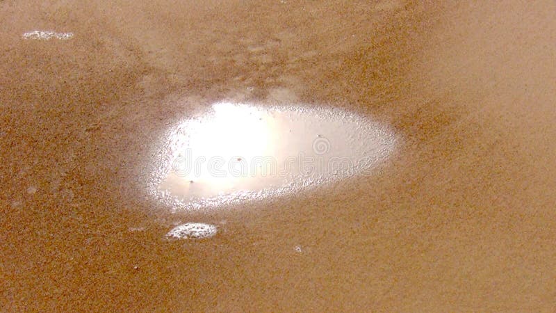 Water Puddle Absorbed by Sand Stock Video - Video of droughty, empty ...